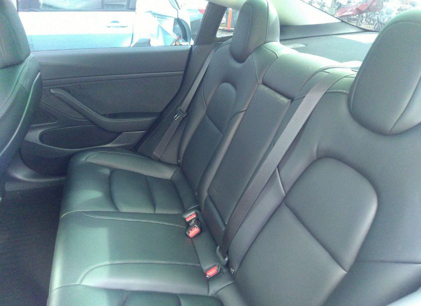 Tesla Model 3 Range Plus 2021 под заказ в Украине - Bex Auto