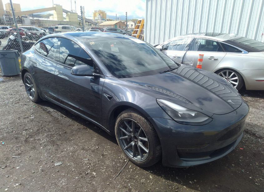 Tesla Model 3 Range Plus 2021 под заказ в Украине - Bex Auto